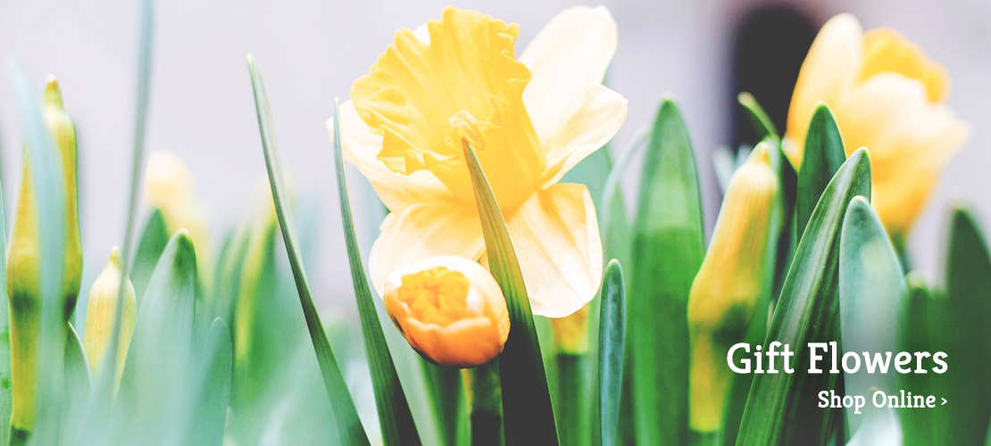 Home | Artistic Florist | Gravesend | Kent